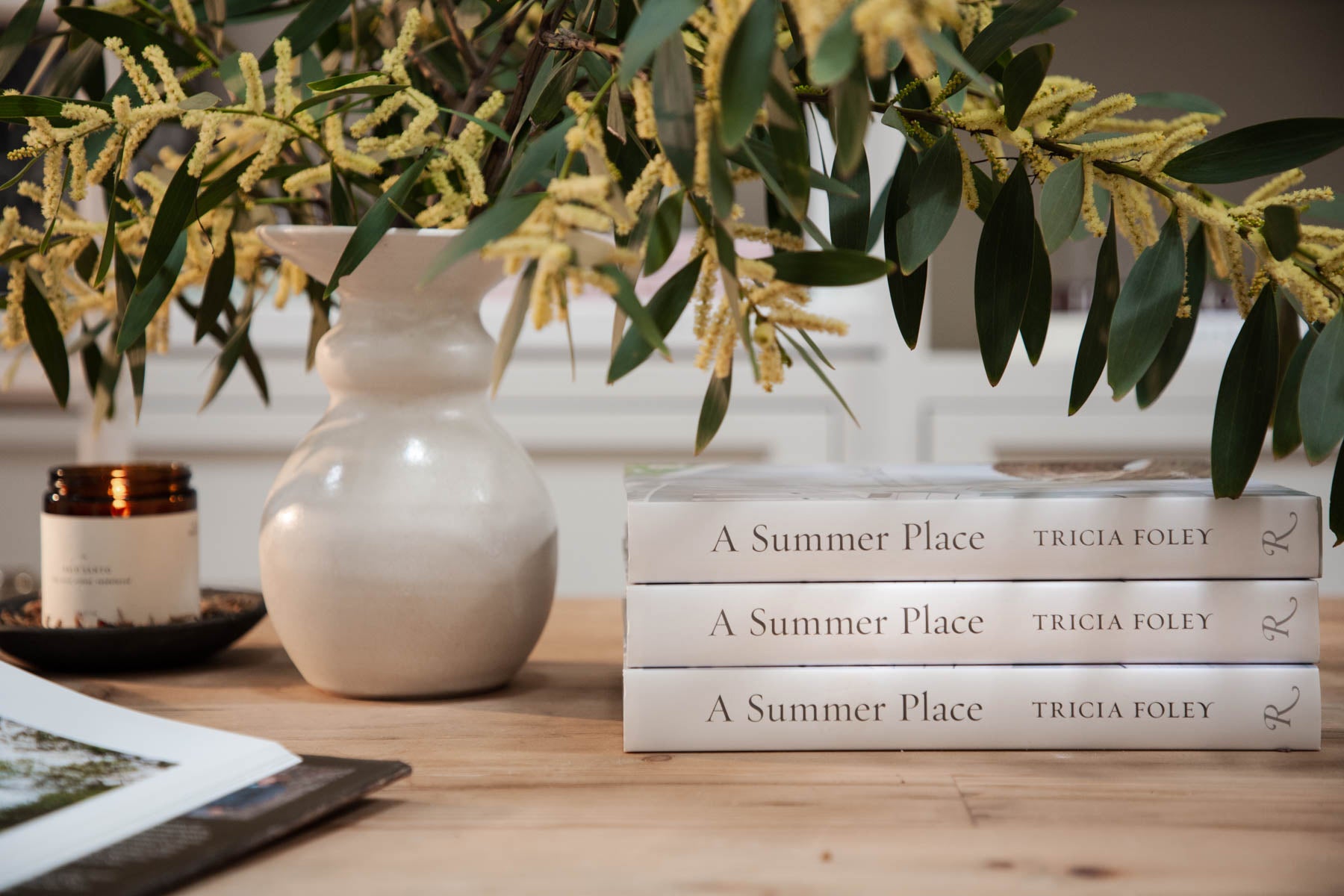 A Summer Place: Living by the Sea by Tricia Foley – ILI Marché